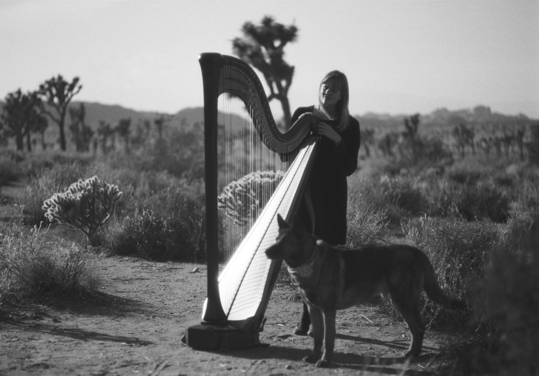 Partiture, da Zō l'ambient music lunare di Mary Lattimore - GLOBUS Magazine
