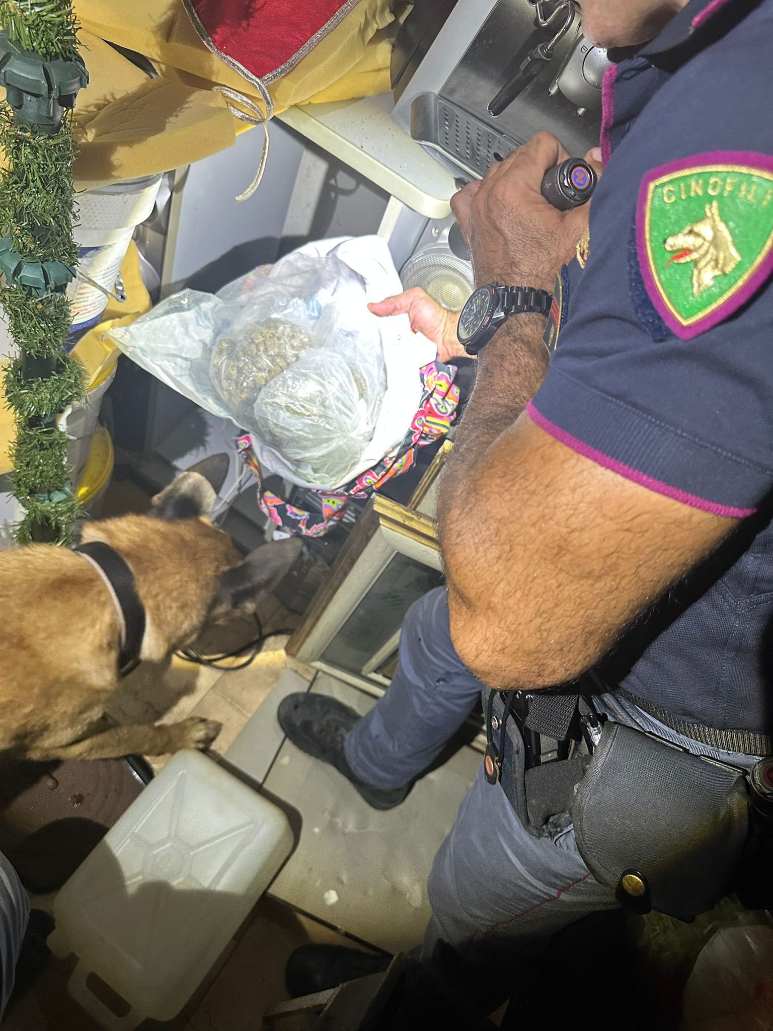 Il cane poliziotto Maui permette l’arresto di un 29enne catanese per detenzione ai fini di ...