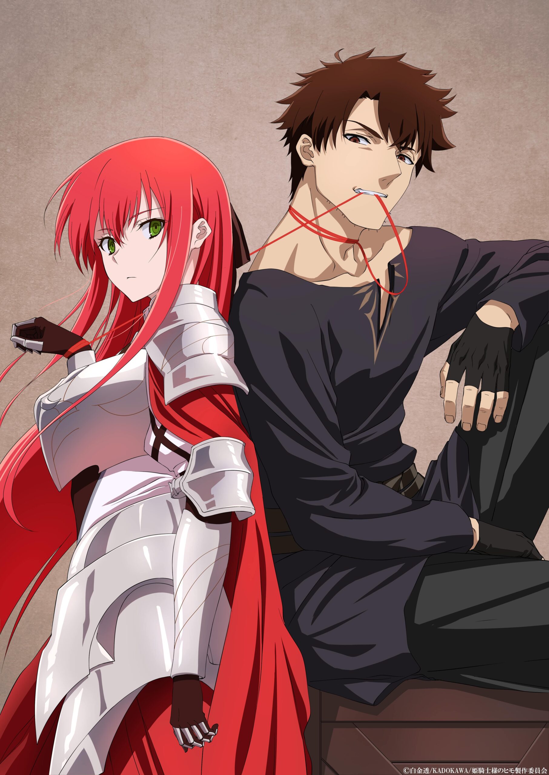 La serie di light novel The Kept Man of the Princess Knight sarà ...