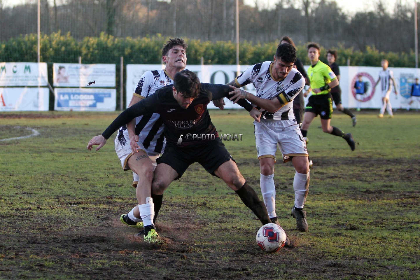 17a giornata - Siena-Foiano 5-0 :: Siena Club Fedelissimi 1970