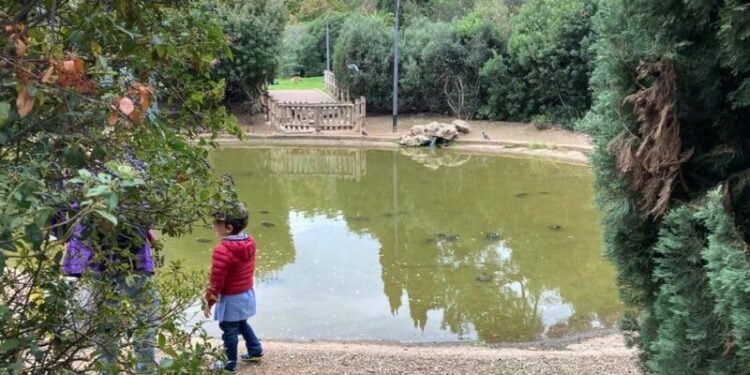 Parco Due Giugno, un milione di euro per la manutenzione al 2026