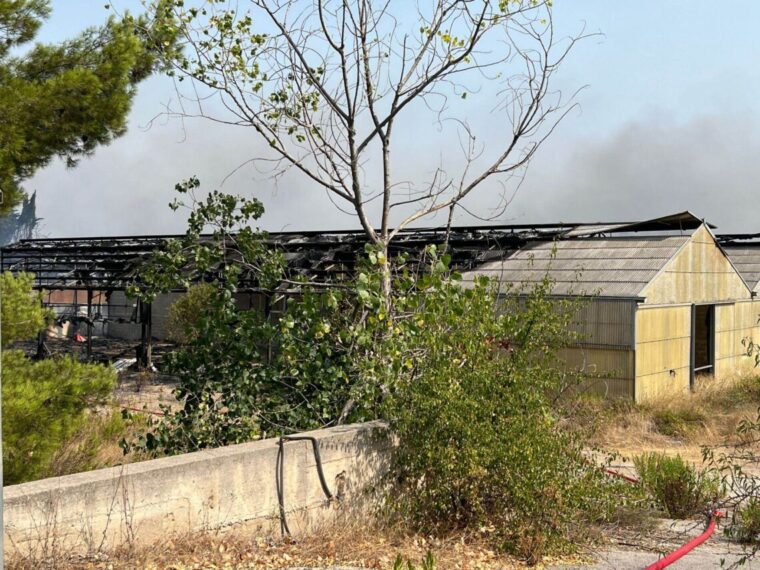 Bari, incendio in un capannone a Santa Caterina: maxi nube
