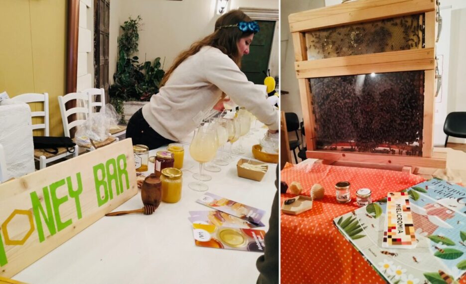 Bari, apre 'Tasting Lab': "Degustazioni per analisi sensoriale cibo"