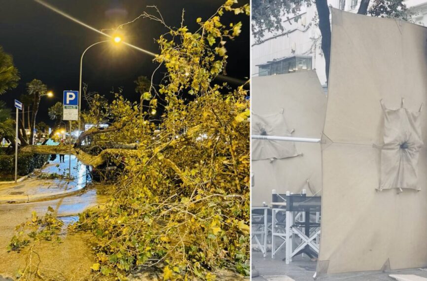 Maltempo, a Bari crolla albero: disagi per la burrasca. Prima neve