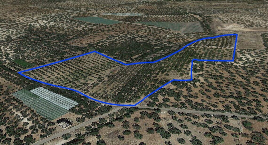 Bitetto, Contrada Nepta: : via libera alla bonifica