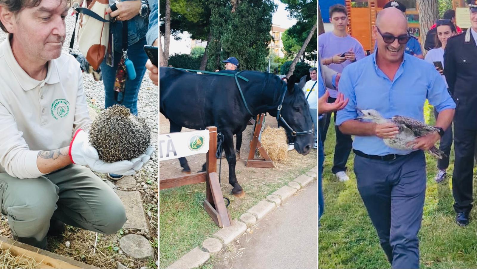 Dai cavalli ai gabbiani, Parco 2 Giugno è 'villaggio biodiversità'