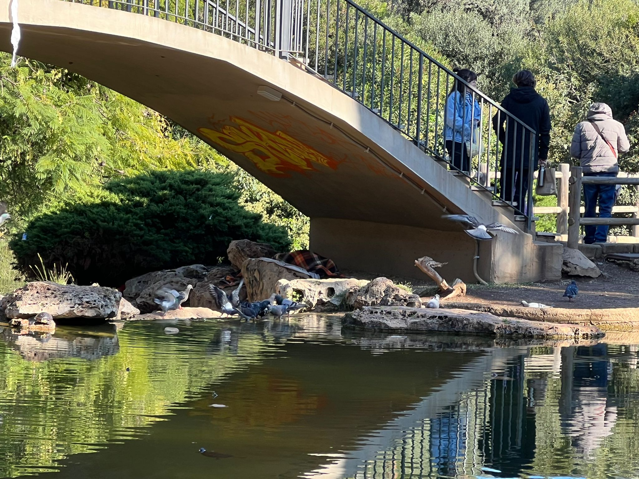 Bari e l'insostenibile leggerezza di un 'barbone' a parco 2 Giugno